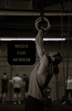 The Top 23 WODs For Beginners | Garage Gym Revisited