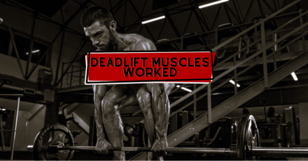 The 34+ Deadlift Muscles Worked | Garage Gym Revisited