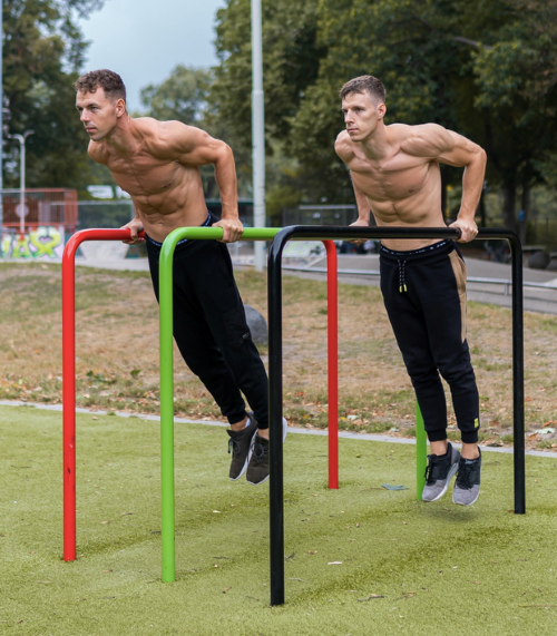 What Muscles Do Dips Work? 3 Big Ones...and Countless Others! | Garage ...